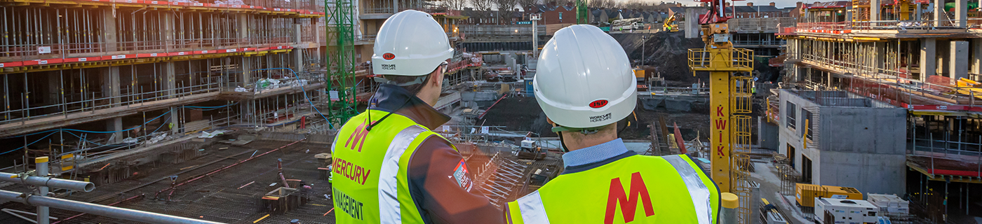 What we do at Mercury