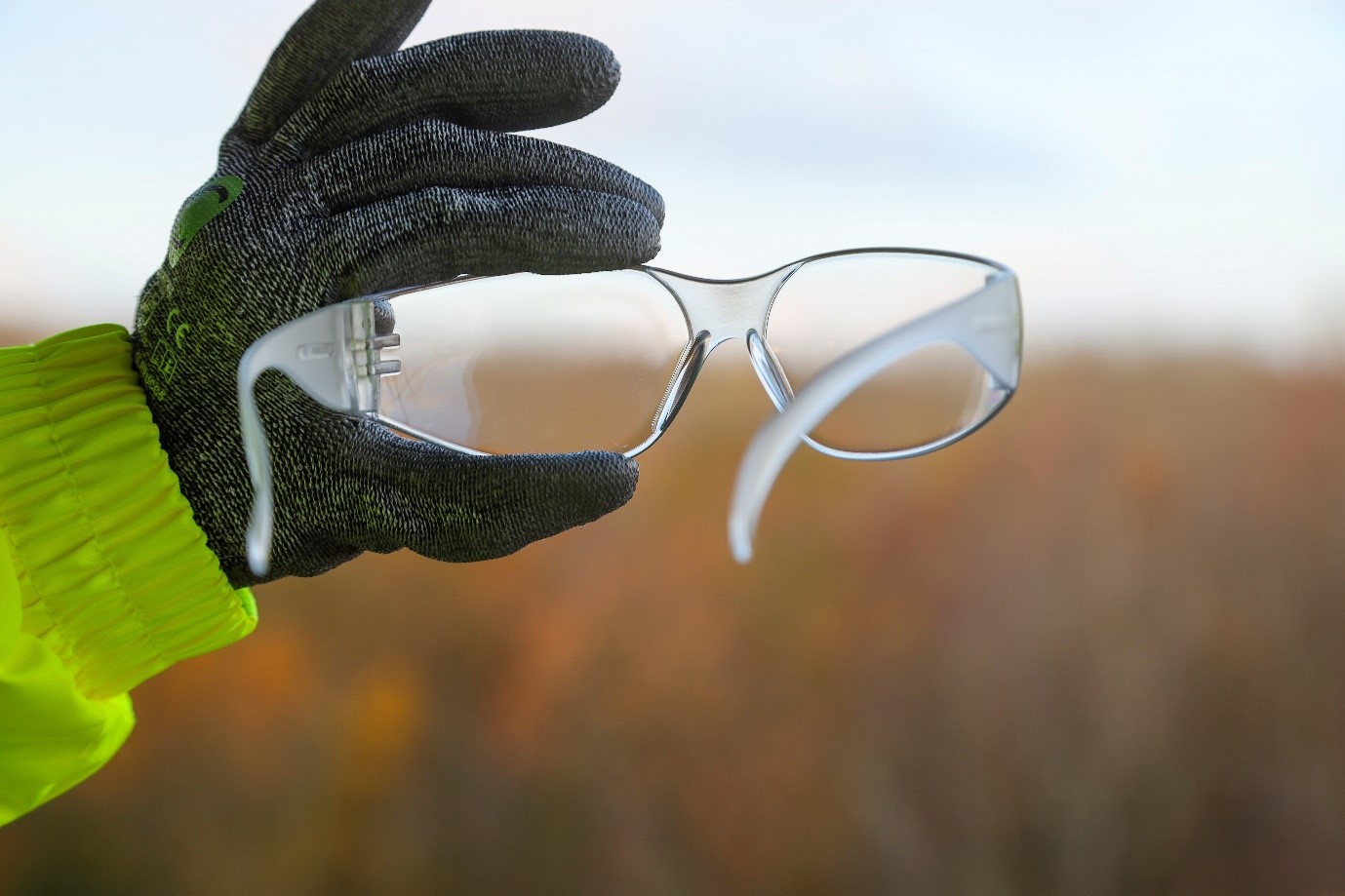 Carbon Neutrality: Navigating environmental transparency