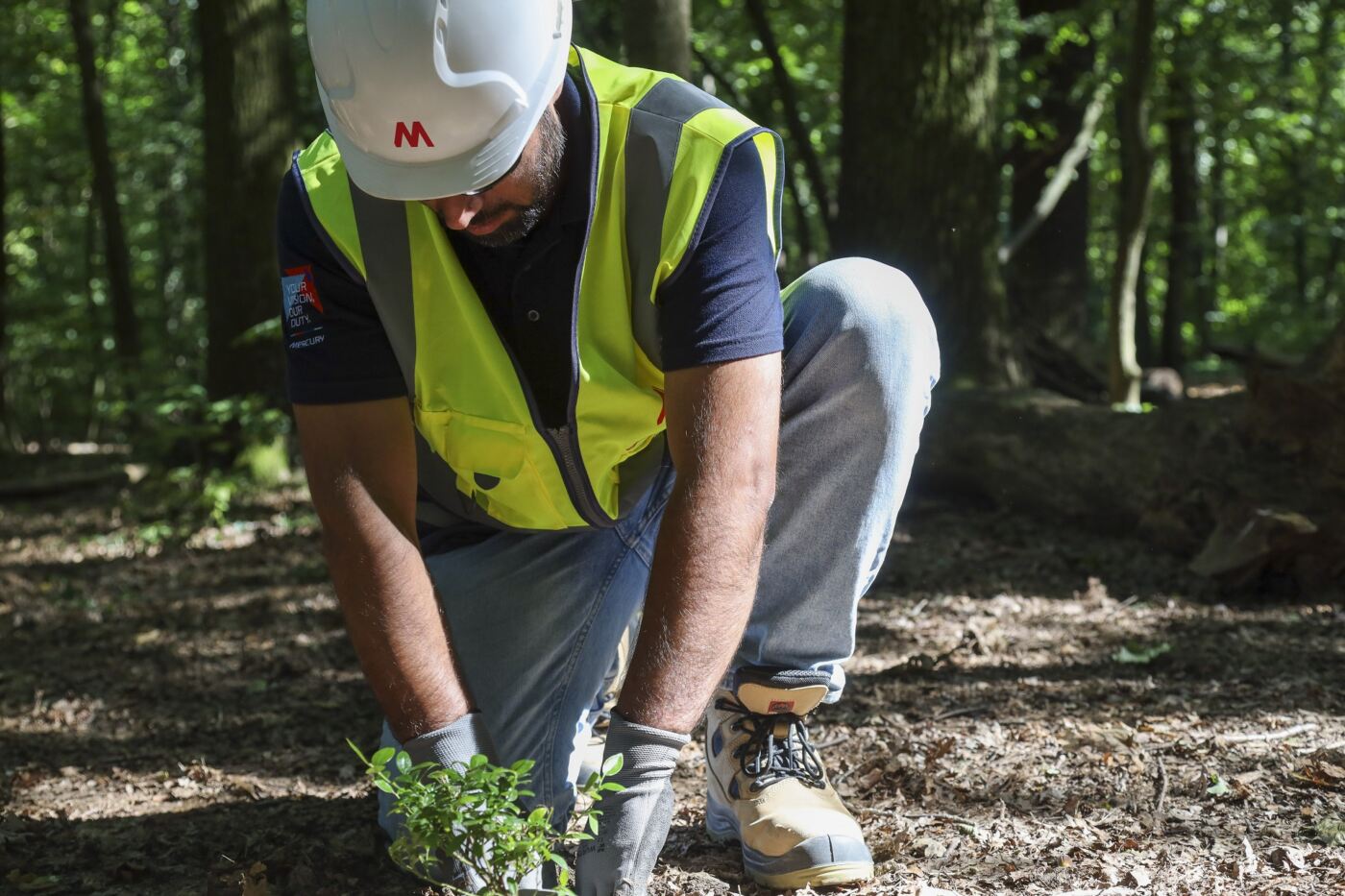 Mercury neutralises 33,000 kg of CO2 emissions through tree planting ...